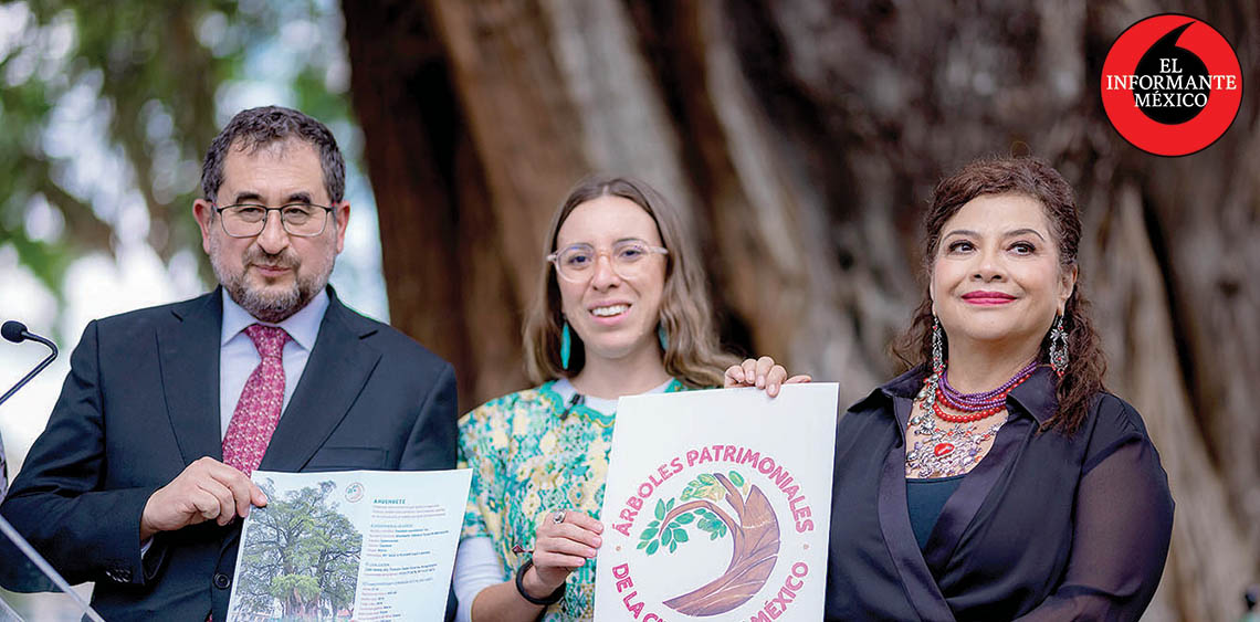 Clara Brugada declara Patrimonio Natural un Ahuehuete de 700 años – El ...