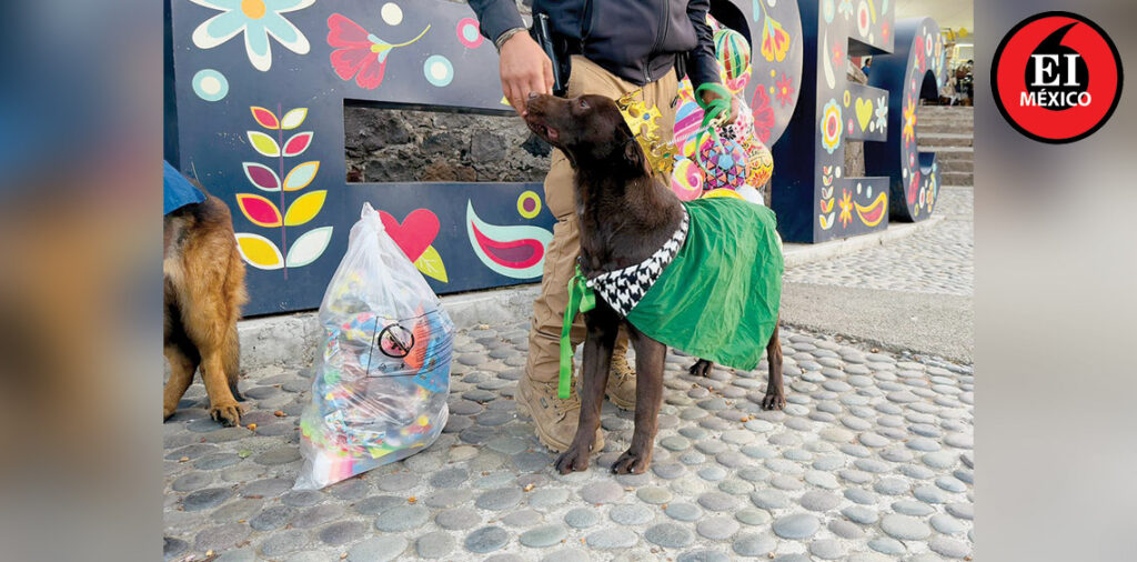 Policía de Metepec y lomitos repartieron juguetes y alegría – El ...